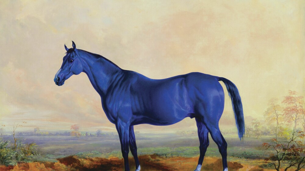 A Smarter Way to Train: How VisitLEX Upgraded to a Custom, Cost ...